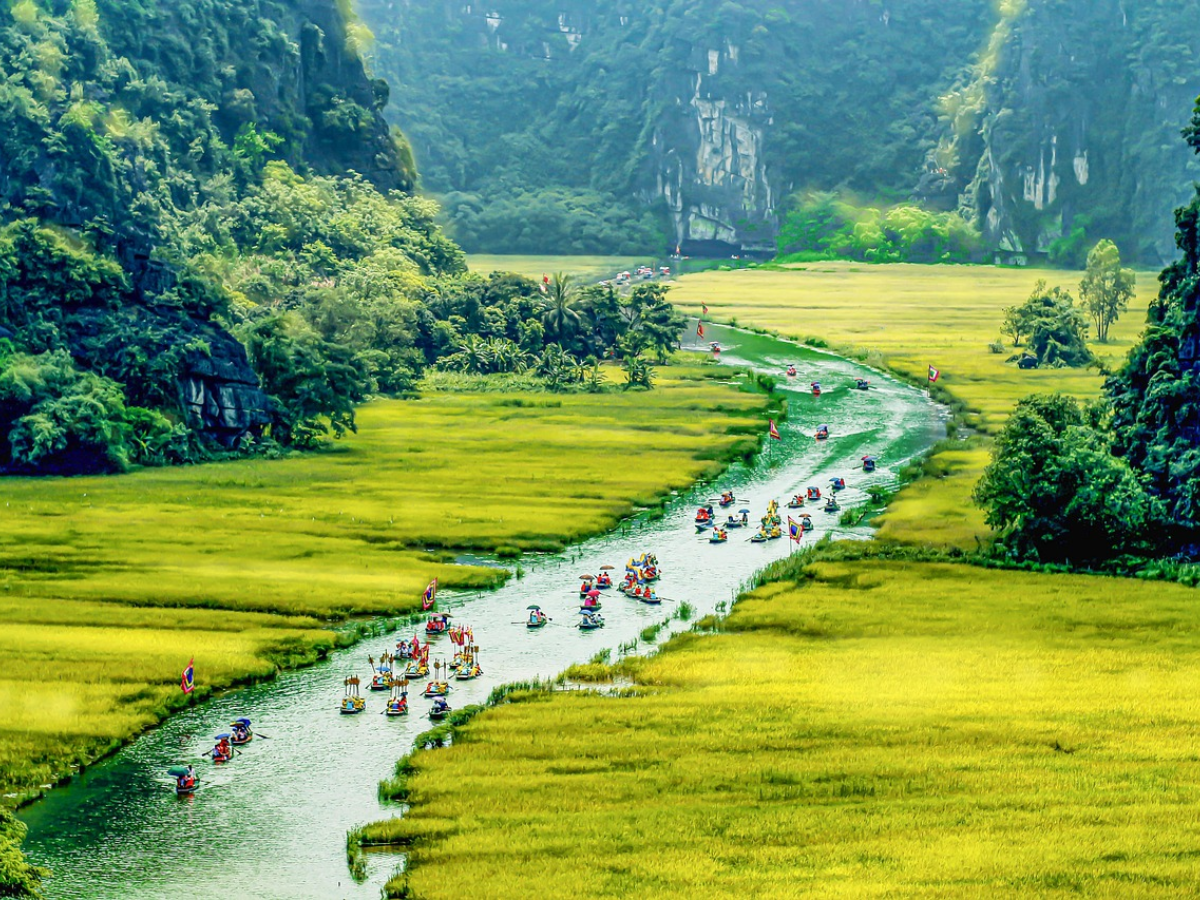 Kinh nghiệm du lịch Tam Cốc Ninh Bình dịp Tết chi tiết dễ áp dụng